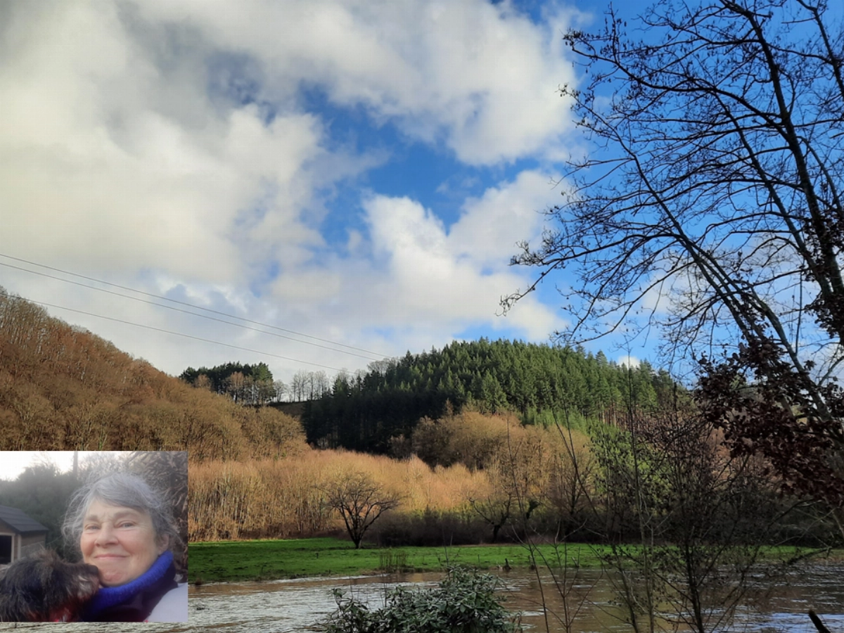 Afscheid van zoveel lieve mensen, dieren en plekken - Vlaardingen24