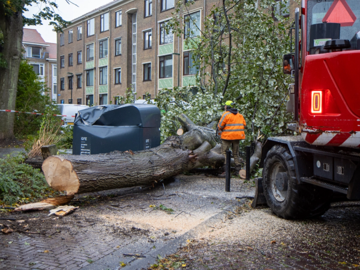 Boom Mendelssohnplein omgewaaid - Vlaardingen24