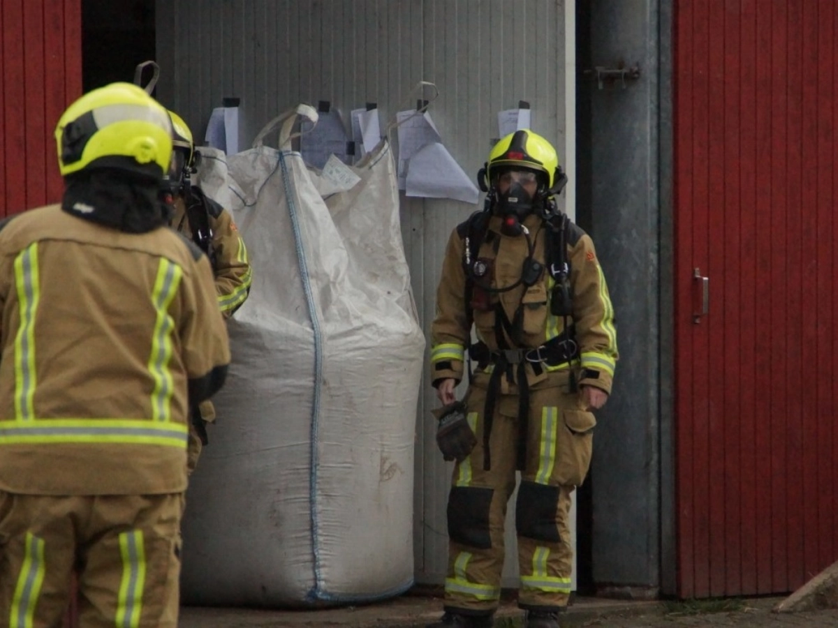 Drie koeien overleden door giftig gas - Maassluis24