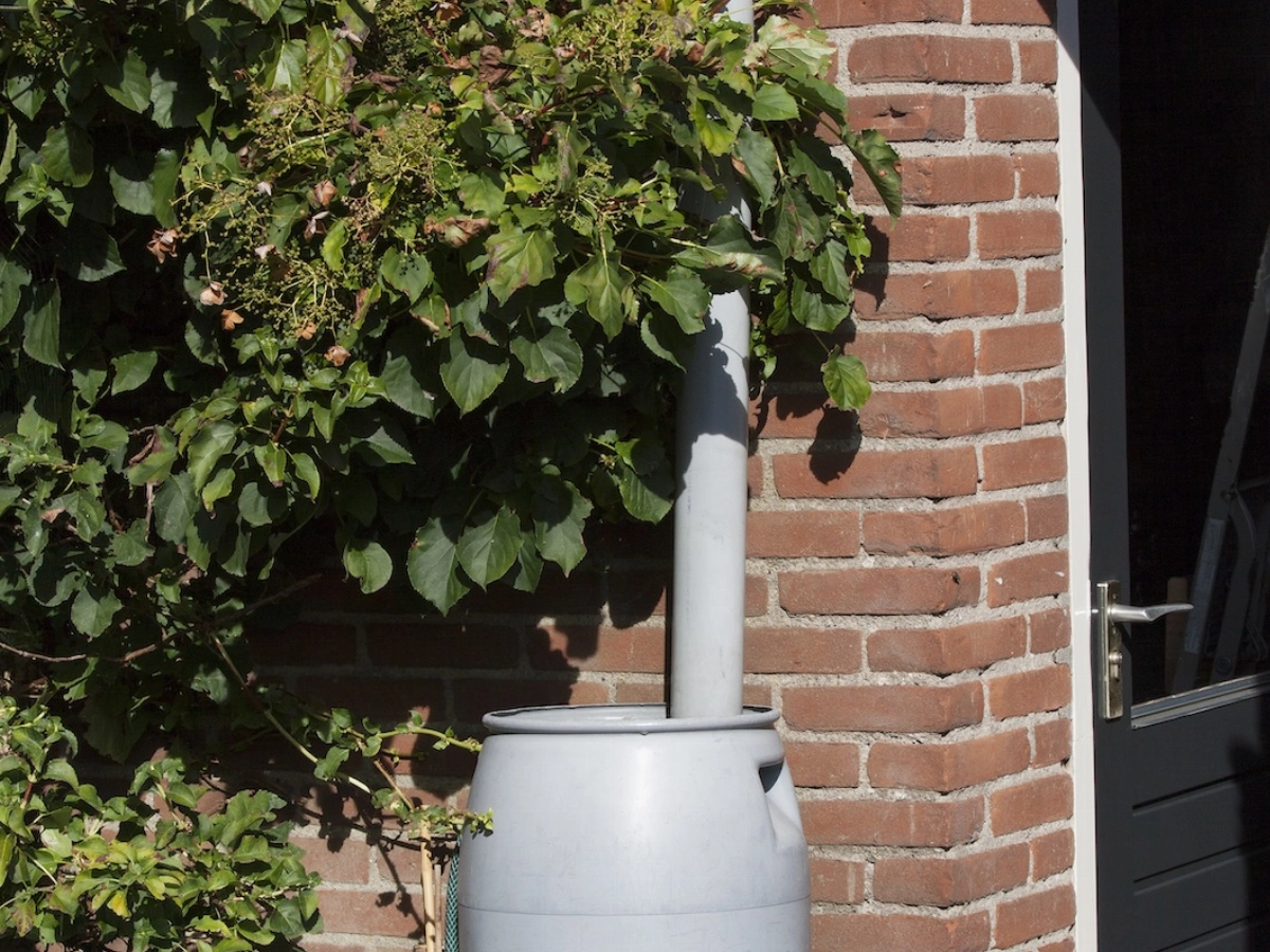 Subsidie voor regenton: vang regenwater op en bespaar! - Schiedam24